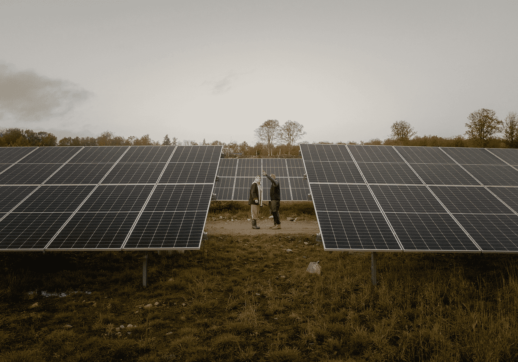 Powering Turn Energy's 3x Utility-Scale Solar Surge and 30% Conversion ...